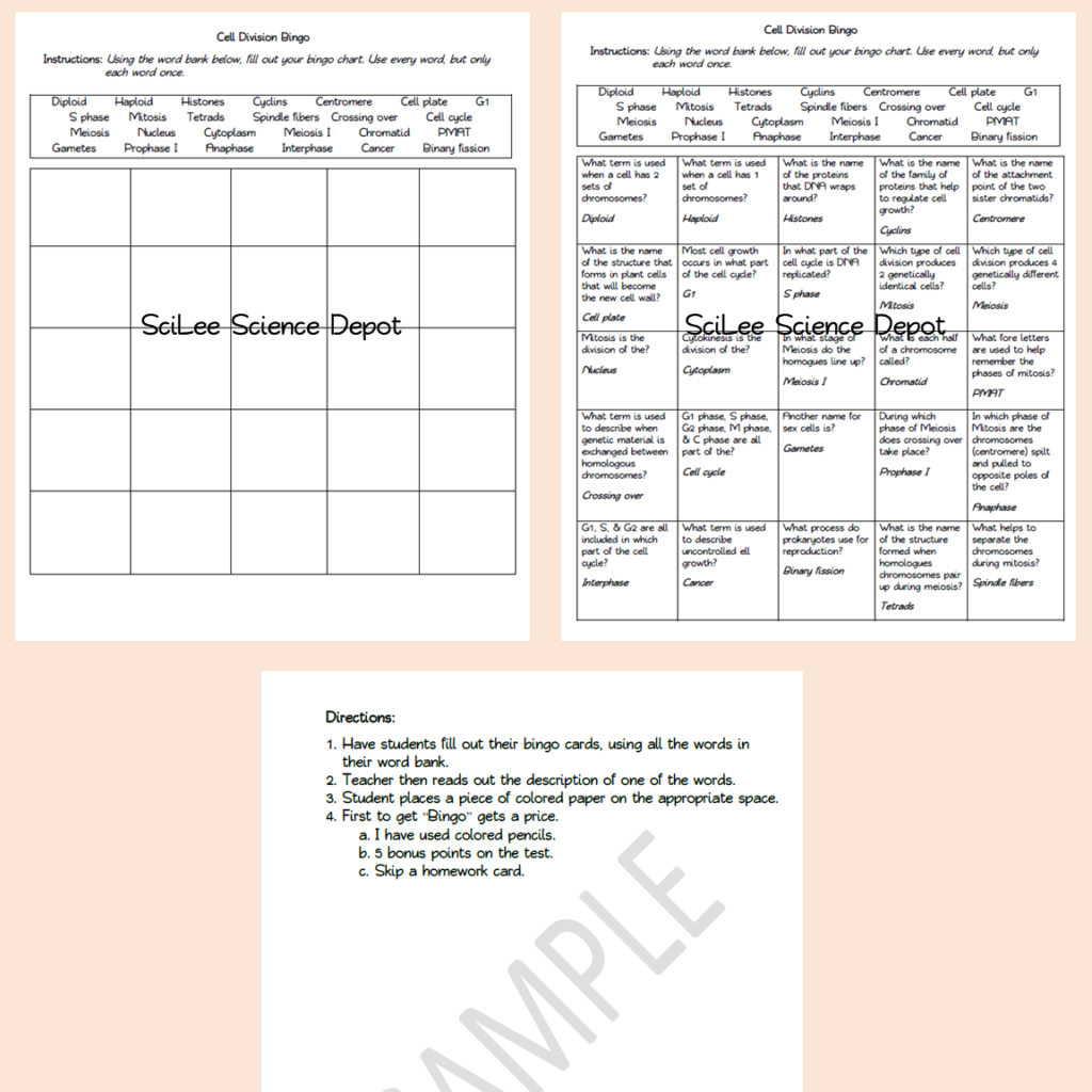 Cell Division Review Packet | Made By Teachers
