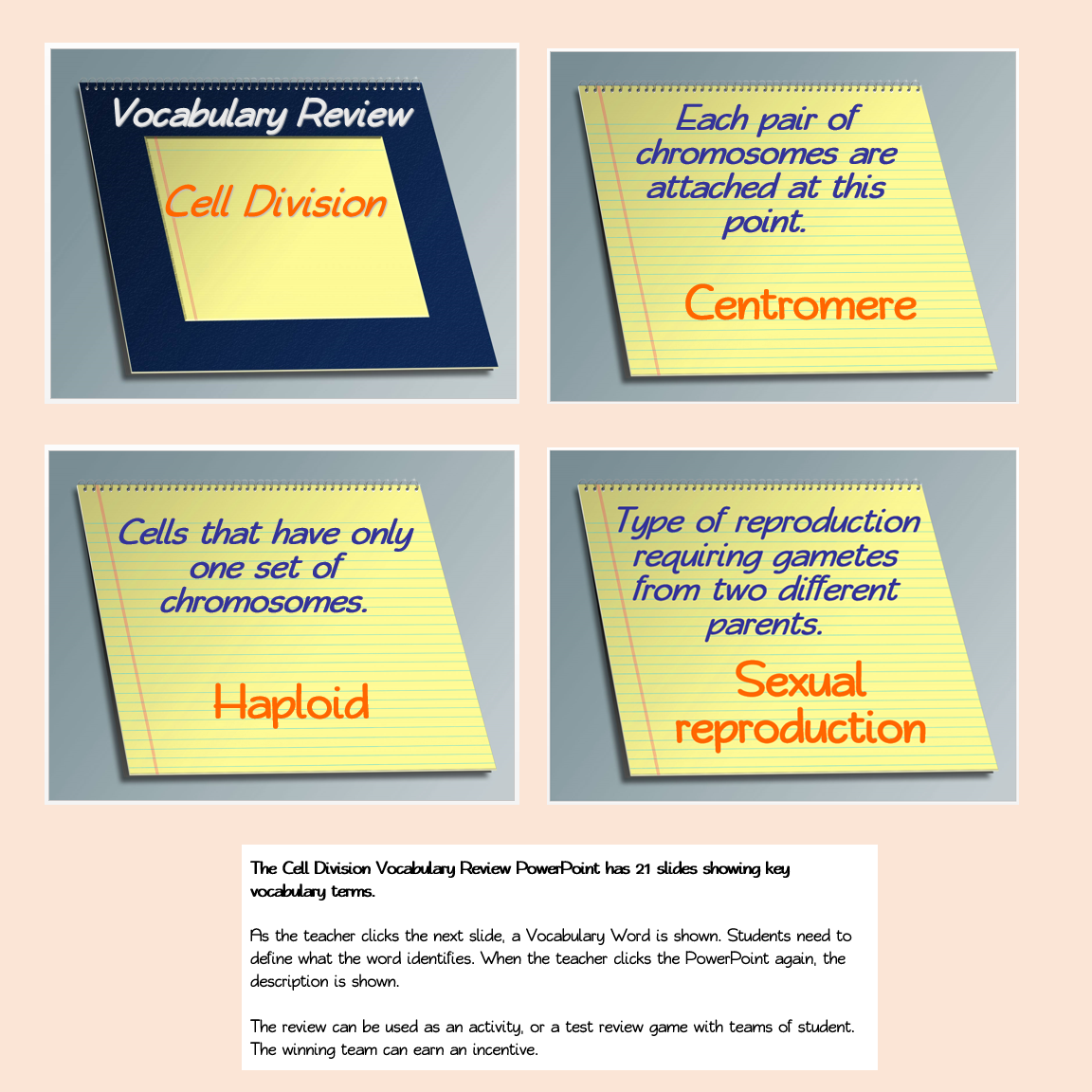 Cell Division Review Packet | Made By Teachers