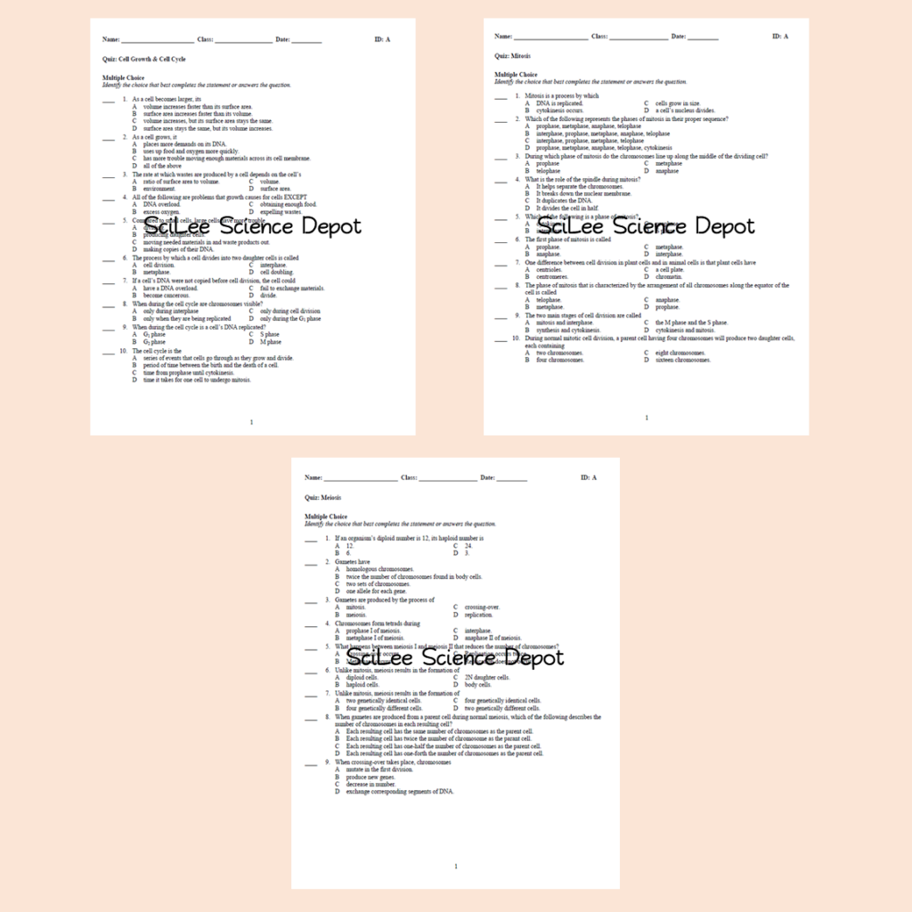 Cell Division Assessment Packet | Made By Teachers