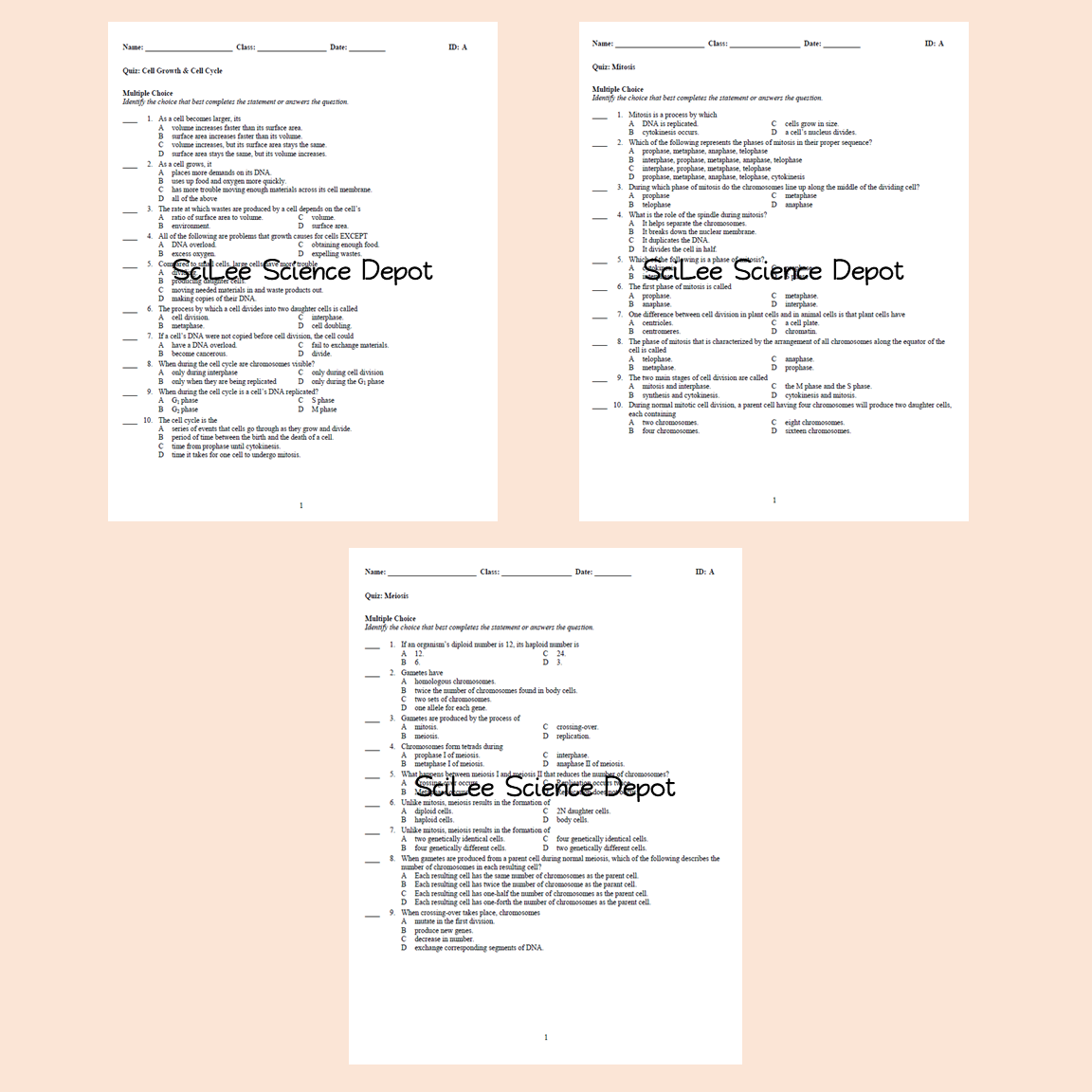 Cell Division Assessment Packet | Made By Teachers