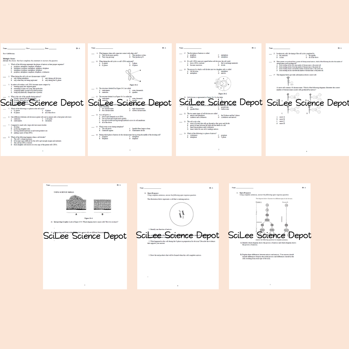 Cell Division Assessment Packet | Made By Teachers