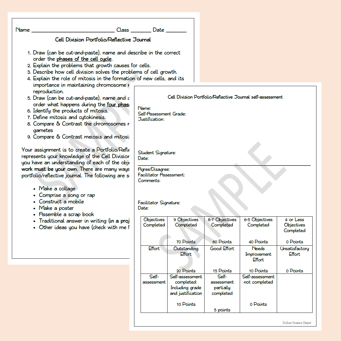 Cell Division Assessment Packet | Made By Teachers