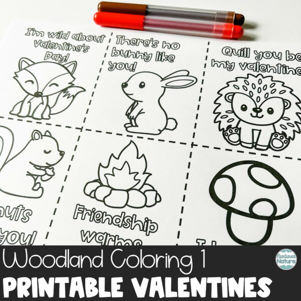 Woodland Animals Coloring Valentines - Fox, Rabbit, Hedgehog, and ...