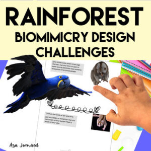 Rainforest | Biomimicry Design Inspired by Nature Compatible with NGSS ...