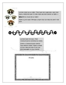 Rainforest | Biomimicry Design Inspired by Nature Compatible with NGSS ...