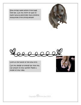 Rainforest | Biomimicry Design Inspired by Nature Compatible with NGSS ...