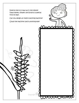 Rainforest | Biomimicry Design Inspired by Nature Compatible with NGSS ...