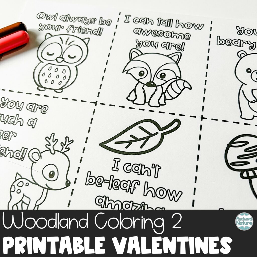 Woodland Animals Coloring Valentines for Students - Owl, Raccoon, Bear ...
