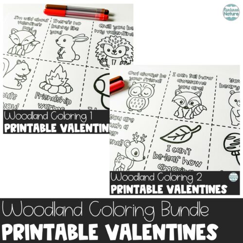 Woodland Animals Coloring Sheet Valentines for Students Bundle | Made ...