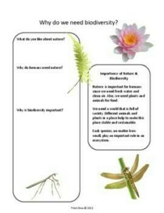 Biodiversity | Ecosystem Environment Earth Day Compatible with NGSS ...