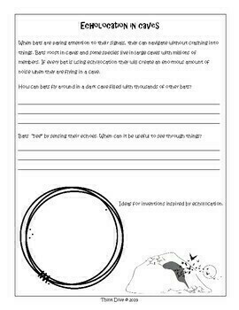Bats | Science Halloween Nature Inspired Medical Applications ...