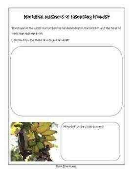 Bats | Science Halloween Nature Inspired Medical Applications ...