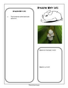 Bats | Science Halloween Nature Inspired Medical Applications ...