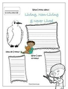 Living Non-living Never Lived | Project Based Learning Digital ...