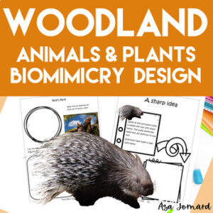 Woodland Animals & Plants | Biomimicry Design Nature Compatible with ...