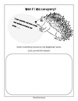 Woodland Animals & Plants | Biomimicry Design Nature Compatible with ...