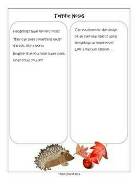 Woodland Animals & Plants | Biomimicry Design Nature Compatible with ...