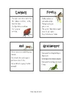Biomimicry Board Game Insects | Invention Quilt Compatible with NGSS ...