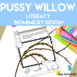 Spring Pussy Willow Lityeracy Activities | PBL Design Inspired by ...