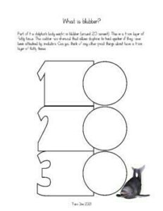Dolphin Life Cycle | Biomimicry Design Inspired by Nature Compatible ...