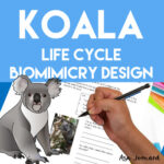 Koala Life Cycle | Biomimicry Design Inspired by Nature Compatible with ...