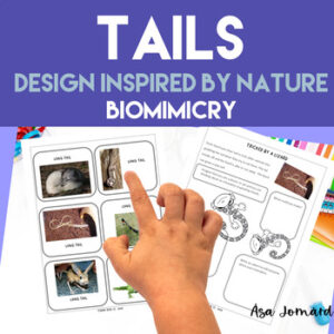 Animal Adaptation Tails | Biomimicry Design Inspired by Nature PBL ...