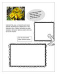 Spring Flowers Lapbook | Biomimicry PBL Design Inspired by Nature ...