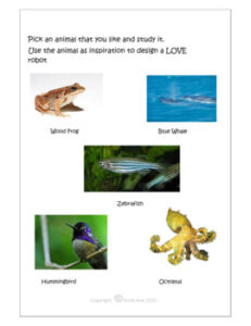 Soft Robots | Biomimicry PBL Design Inspired by Nature | Made By Teachers