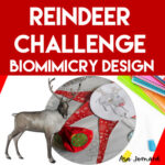Festive Reindeer Challenge | PBL Resource Biomimicry Design Inspired by ...