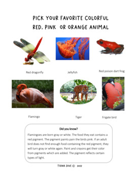Science Activity All about Me & My Colorful Animal | Made By Teachers