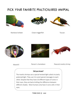 Science Activity All about Me & My Colorful Animal | Made By Teachers
