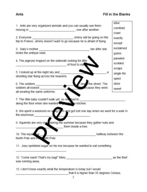 Vocabulary Builder Fill in the Blanks worksheets Level 3 | Made By Teachers