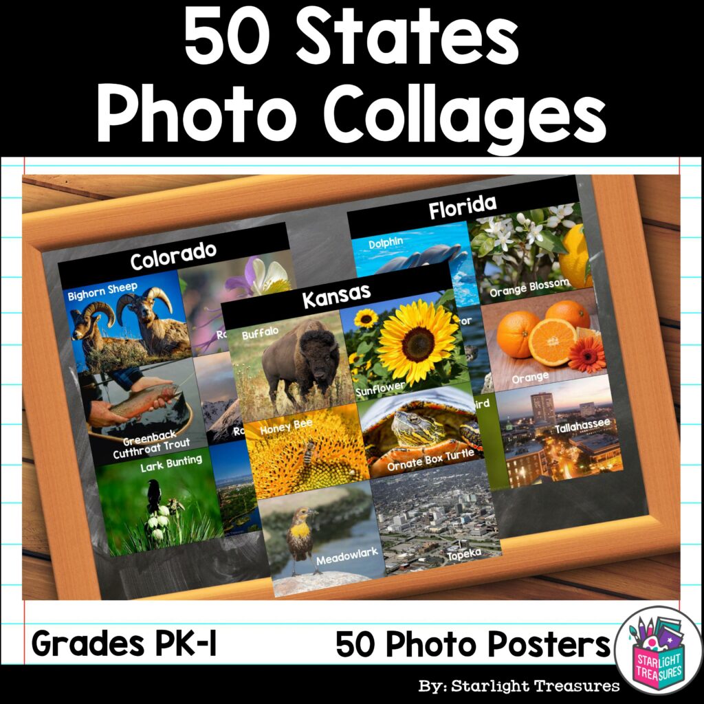 50 States Photo Collage Posters - 50 States Symbol Posters | Made By ...