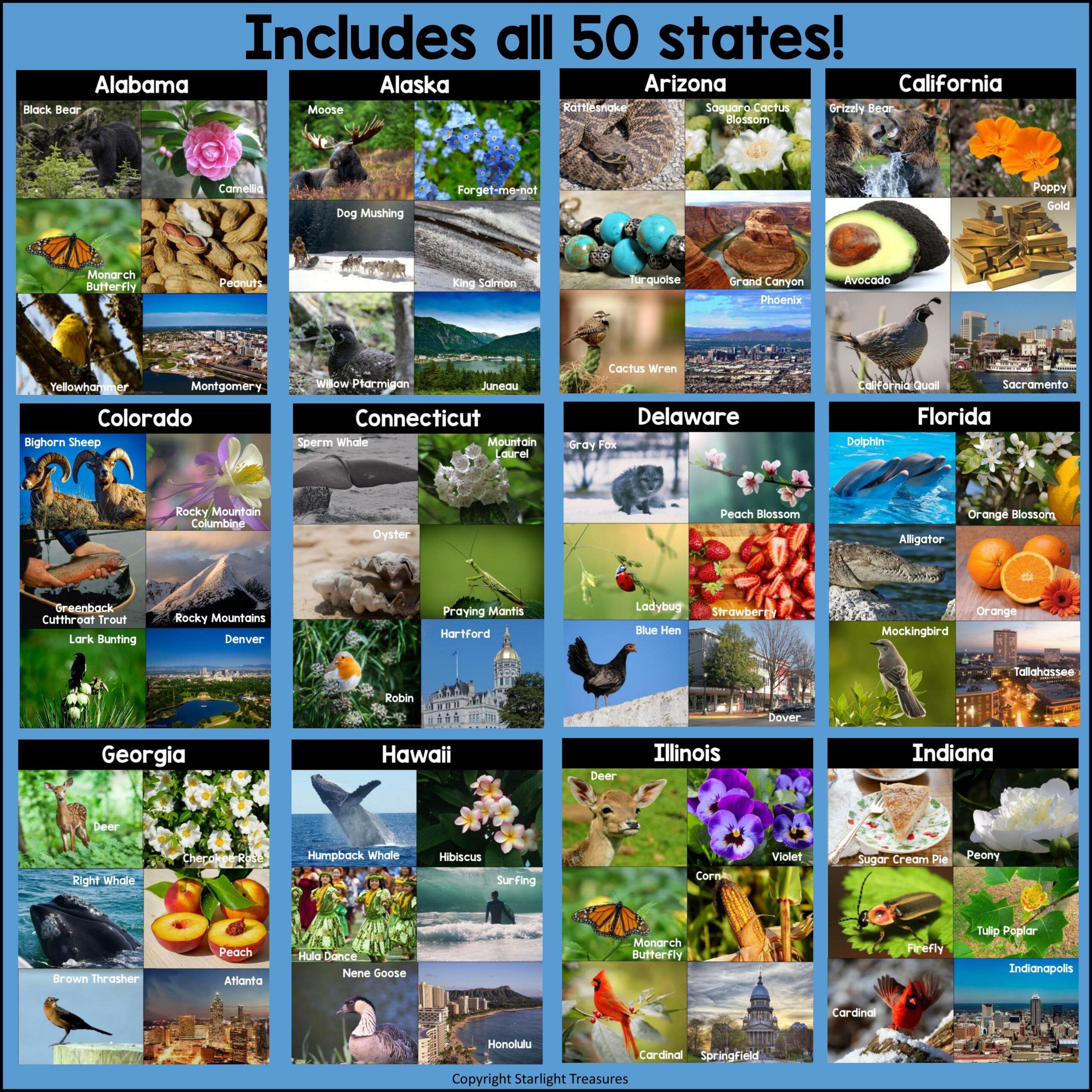 50 States Photo Collage Posters - 50 States Symbol Posters | Made By ...