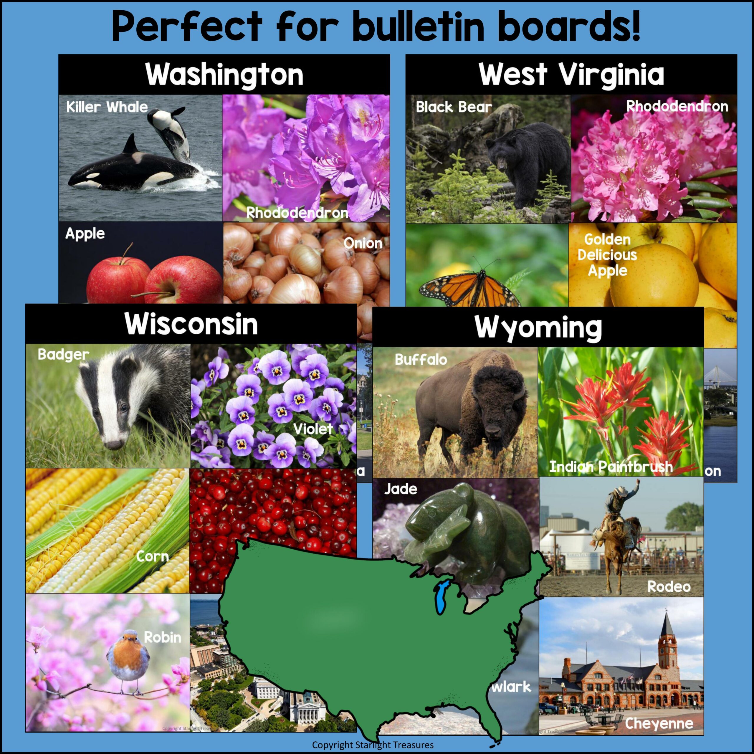 50 States Photo Collage Posters - 50 States Symbol Posters | Made By ...