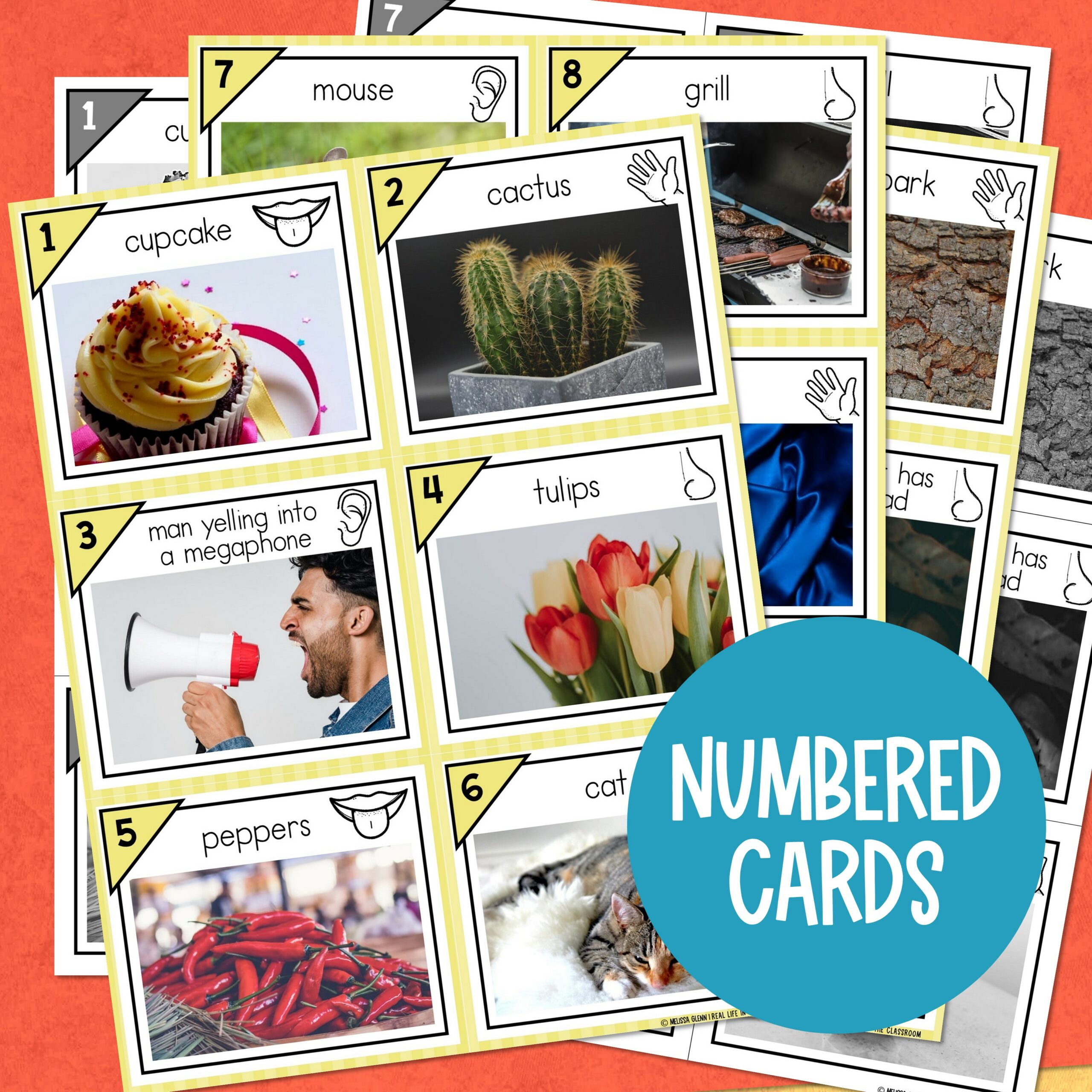 Adjectives for Taste, Sound, Feel, and Smell - Grammar Practice - Write ...