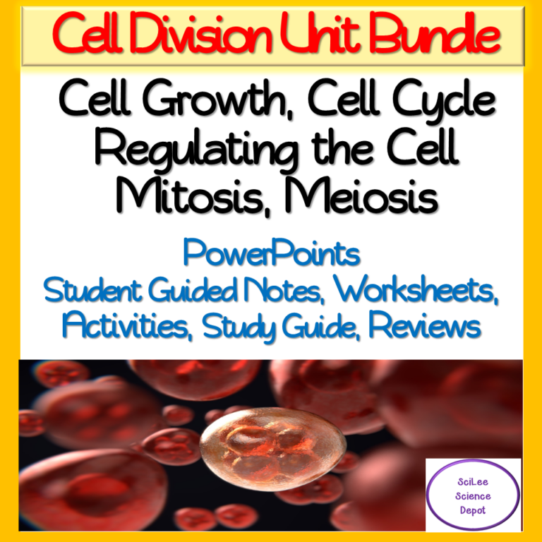 Cell Division NO PREP Unit Bundle | Made By Teachers