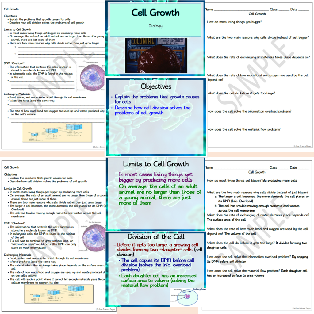 Cell Division NO PREP Unit Bundle | Made By Teachers