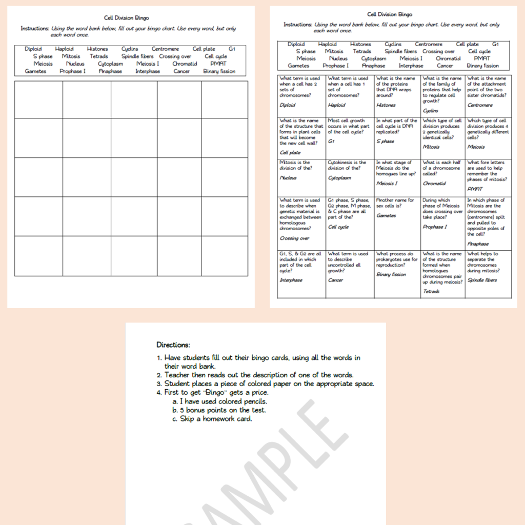 Cell Division NO PREP Unit Bundle | Made By Teachers