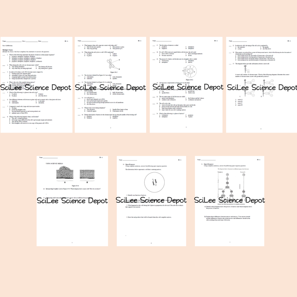 Cell Division NO PREP Unit Bundle | Made By Teachers