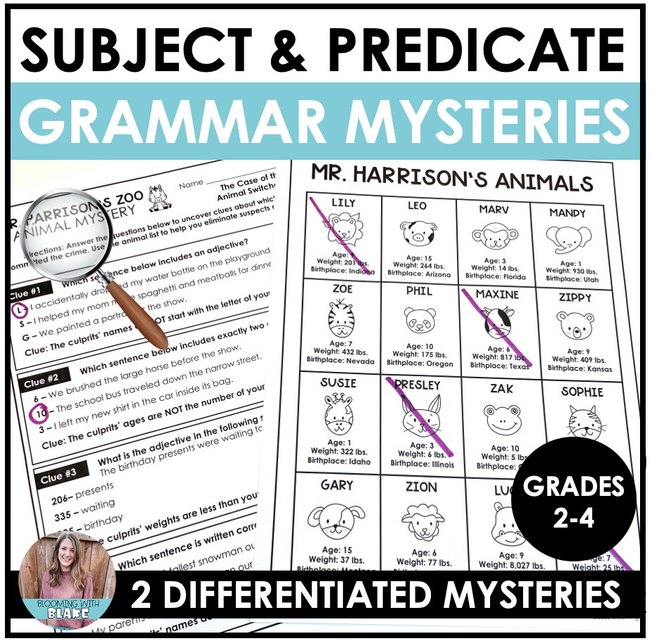 Grammar Review Practice Project | Parts of Speech Foldable Brochures ...