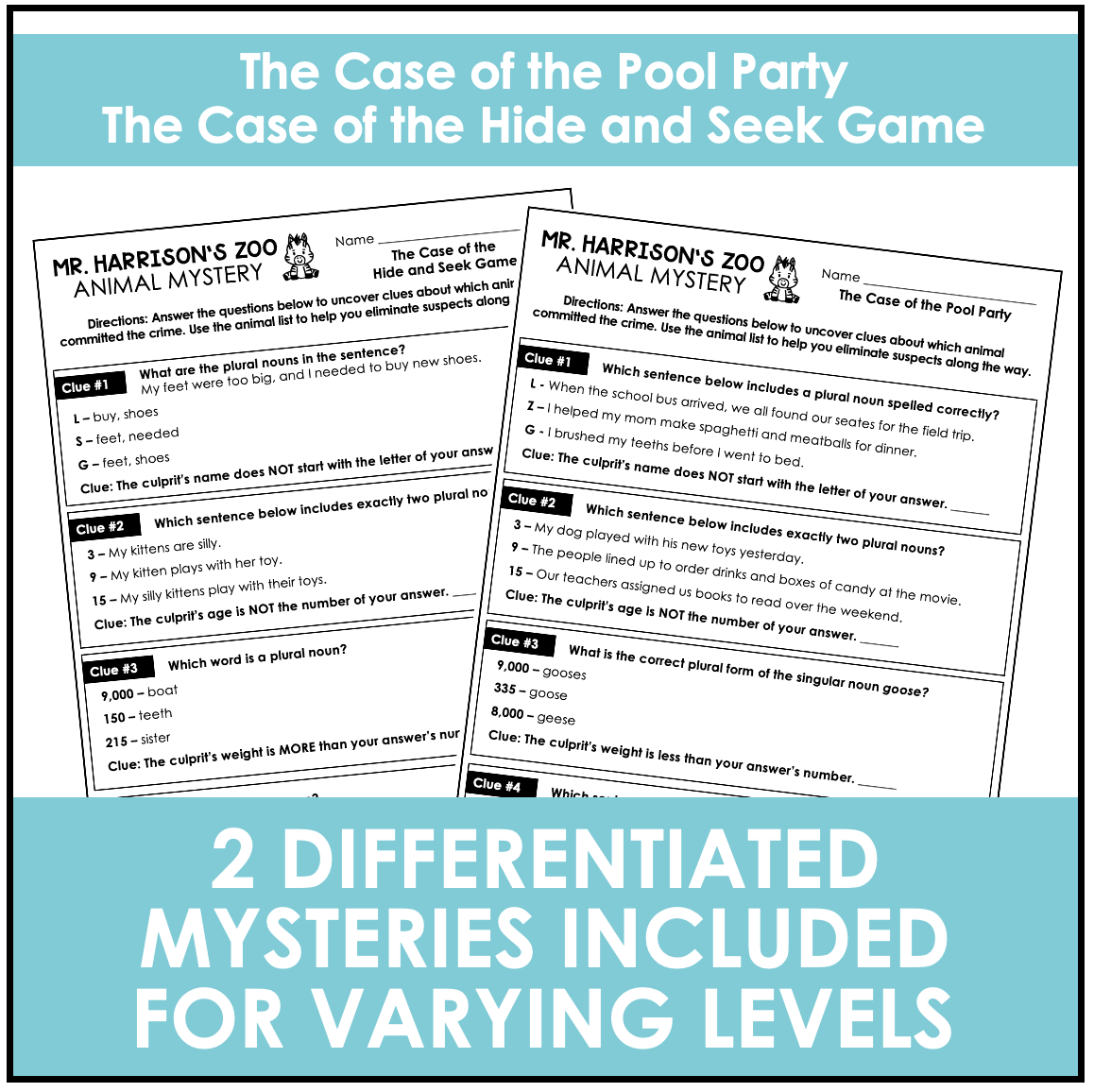 Plural Nouns Practice Mystery Activity | Made By Teachers