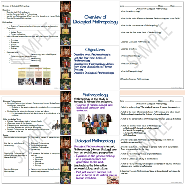 Overview of Biological Anthropology PowerPoint & Worksheet | Made By ...