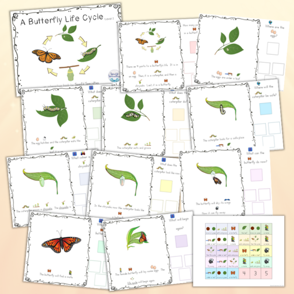 Life Cycles Reading Comprehension Adapted Books (Lvl1) | Made By Teachers