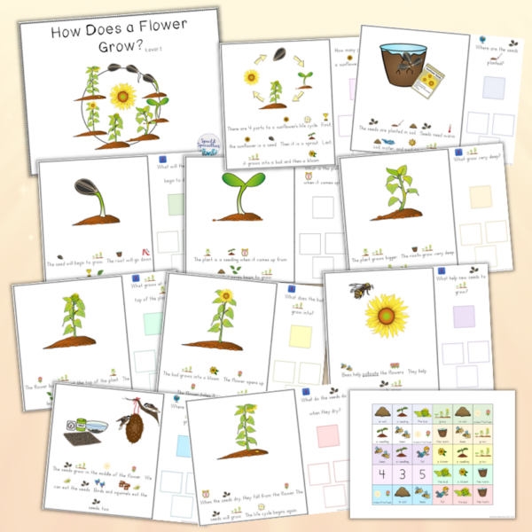 Life Cycles Reading Comprehension Adapted Books (Lvl1) | Made By Teachers