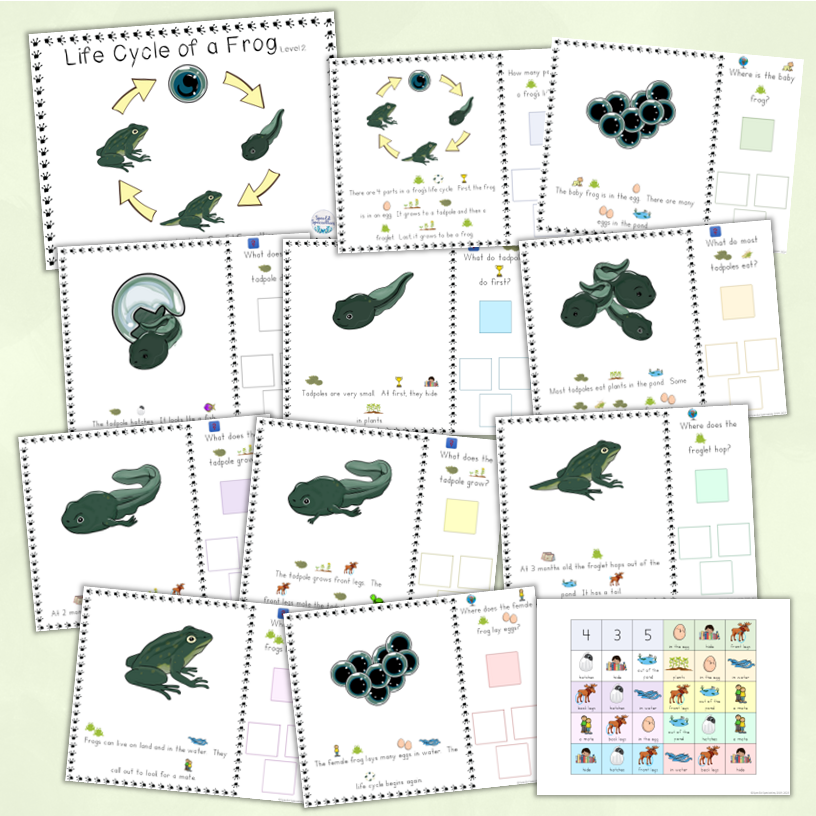 Frog Butterfly Sunflower Life Cycles Adapted Books (Lvl 2) | Made By ...