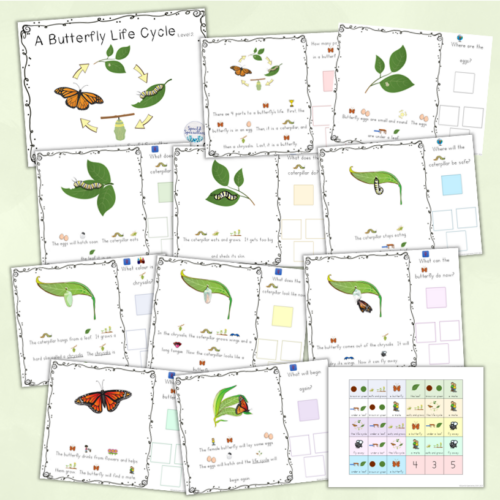 Frog Butterfly Sunflower Life Cycles Adapted Books (Lvl 2) | Made By ...