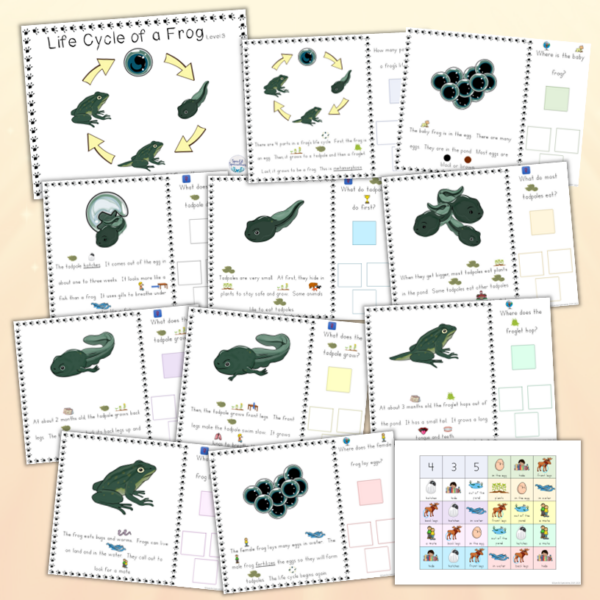 Frog Butterfly Sunflower Life cycles Adapted Books (Lvl 3) | Made By ...