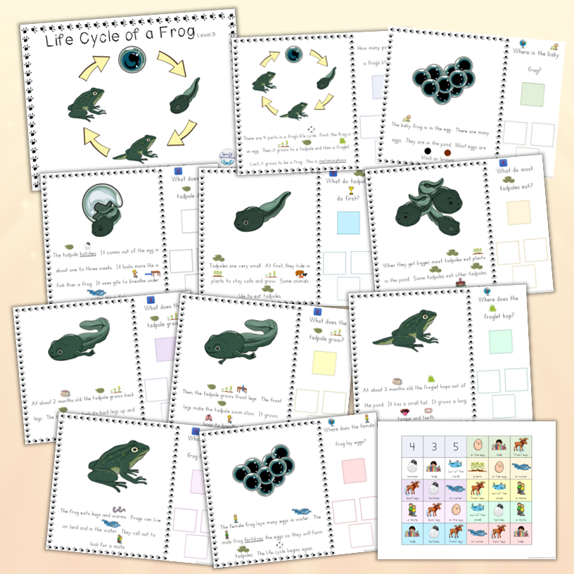 Frog Butterfly Sunflower Life cycles Adapted Books (Lvl 3) | Made By ...