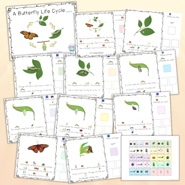 Frog Butterfly Sunflower Life cycles Adapted Books (Lvl 3) | Made By ...
